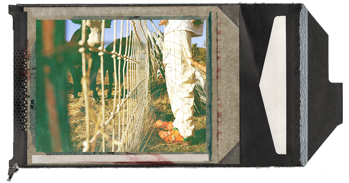 Carrots、Daily PaperがCrocs™とコラボレーション